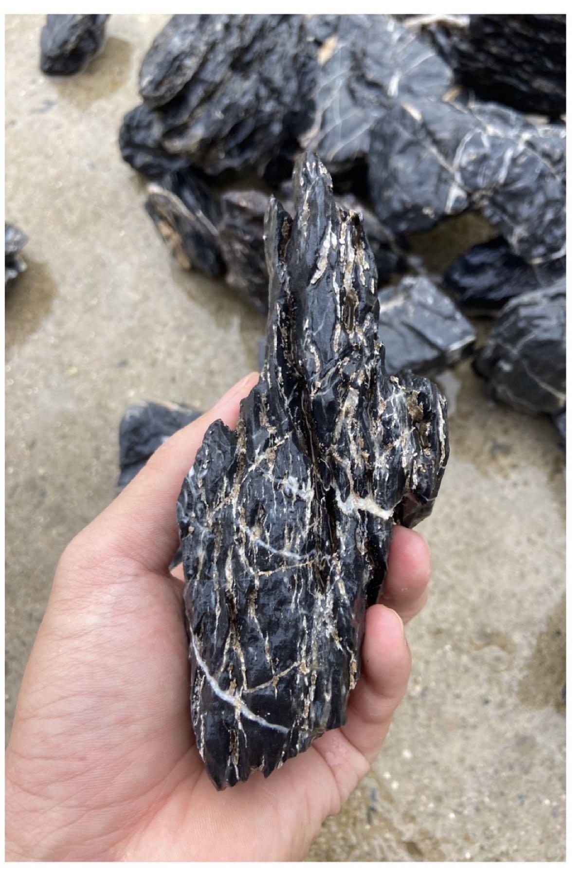 Seiryu stone(treated) for fish tank and aquarium, Furniture & Home ...