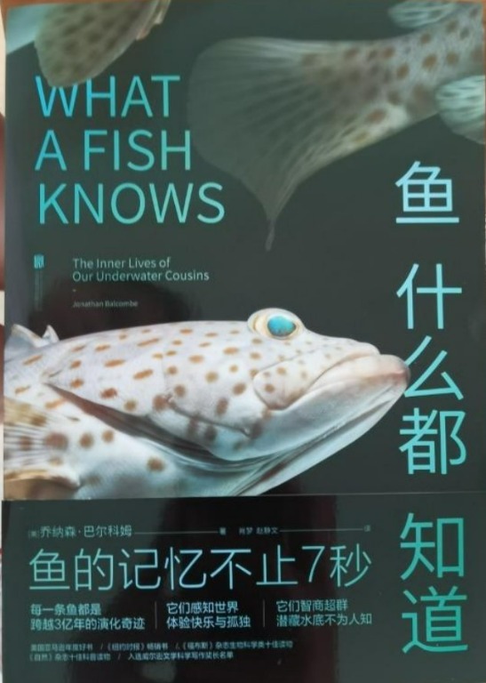 What a Fish Knows (in Chinese), Hobbies & Toys, Books & Magazines ...