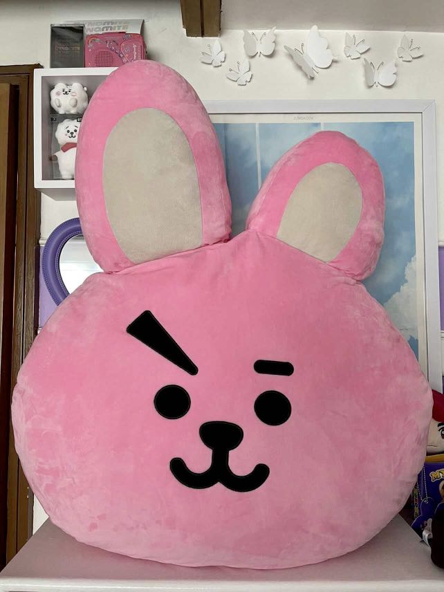 BT21 Cooky Face Cushion, Hobbies & Toys, Memorabilia & Collectibles, K ...