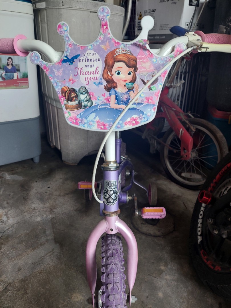 Disney Bike, Sports Equipment, Bicycles & Parts, Bicycles on Carousell