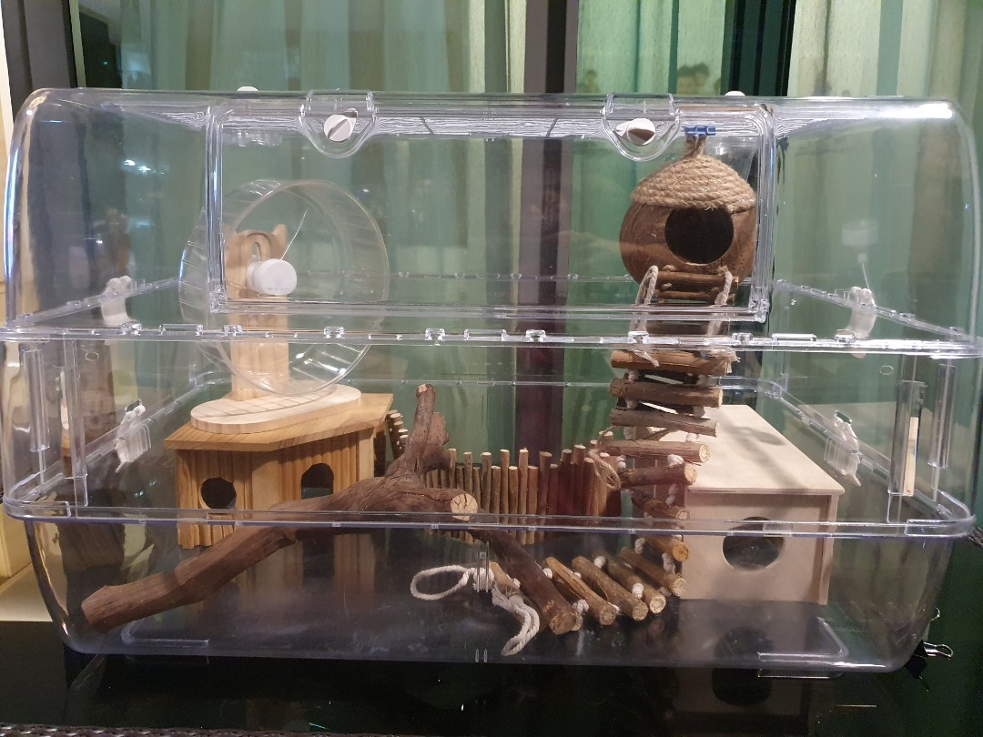 Hedgehog planet hamster acrylic cage with height extension, Pet ...