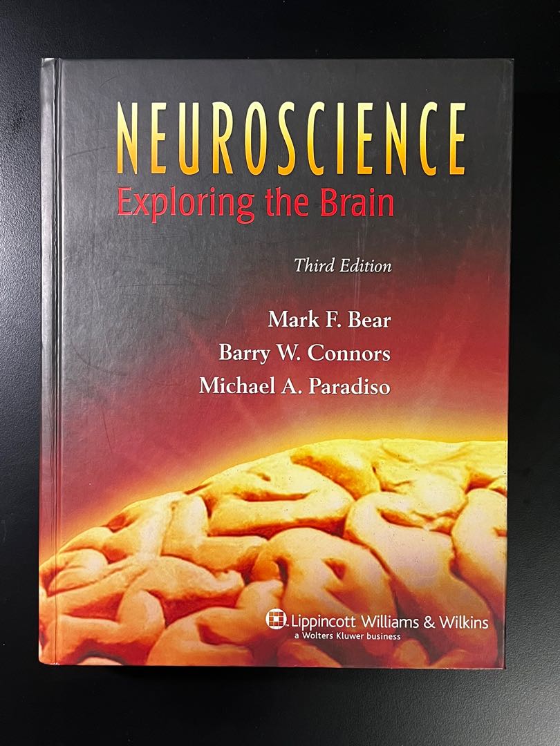Neuroscience - Exploring the Brain, Hobbies & Toys, Books & Magazines ...