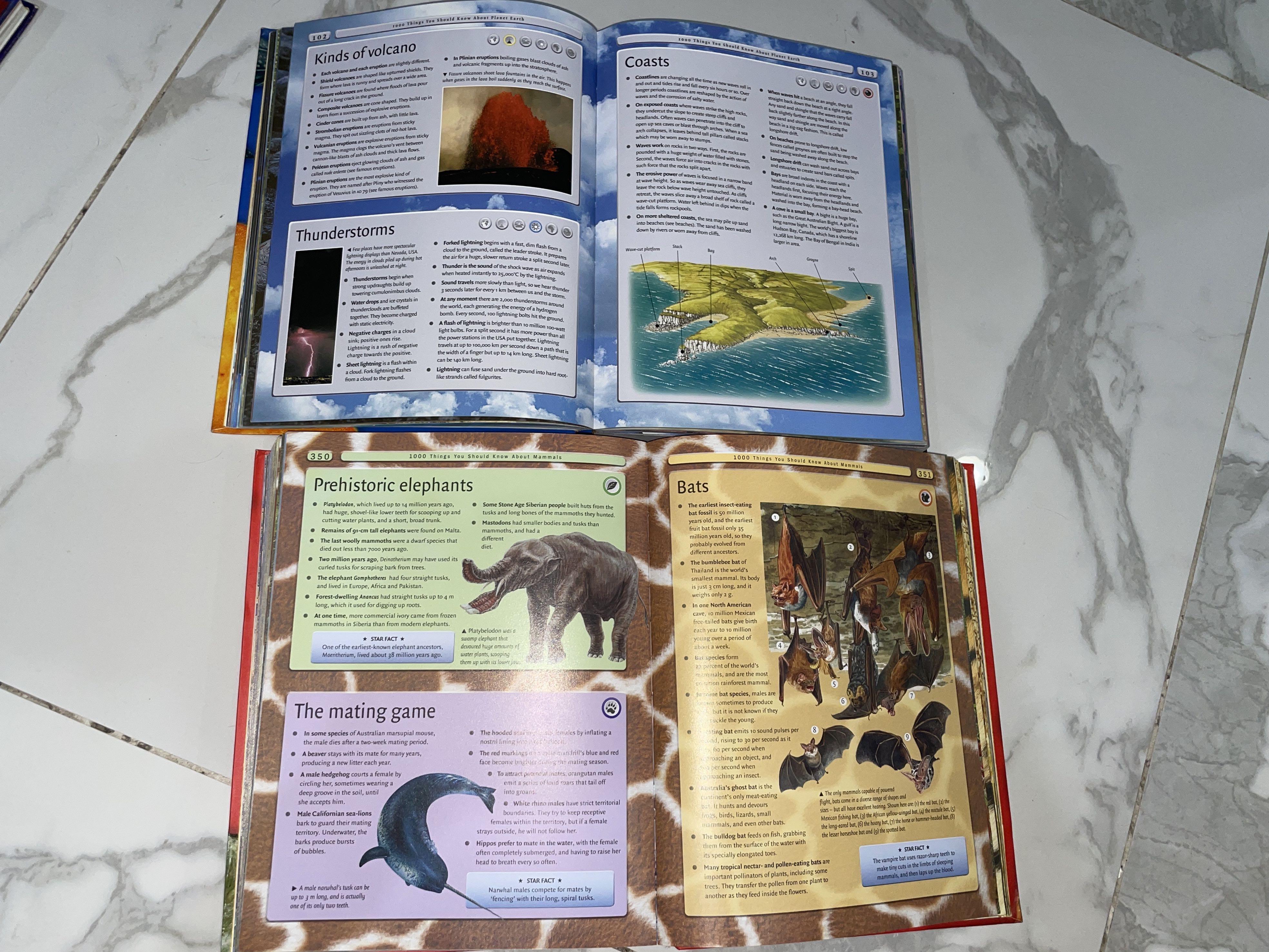 8000 things you should know, Hobbies & Toys, Books & Magazines, Children's Books on Carousell