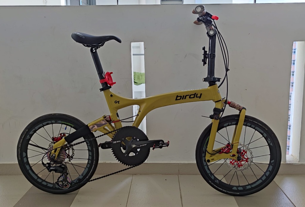 Birdy GT, Sports Equipment, Bicycles & Parts, Bicycles on Carousell