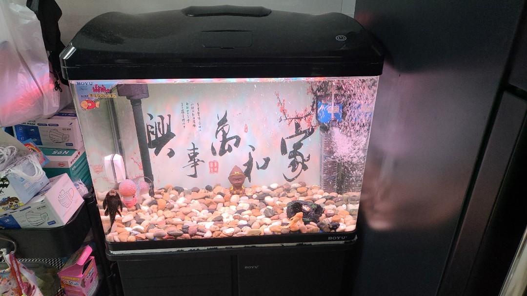BOYU EC600 ALL IN ONE AQUARIUM FISH TANK PLUS CABINET COMPLETE SET, TV ...