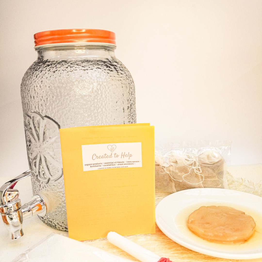Kombucha Starter Kit (SCOBY), Food & Drinks, Beverages on Carousell
