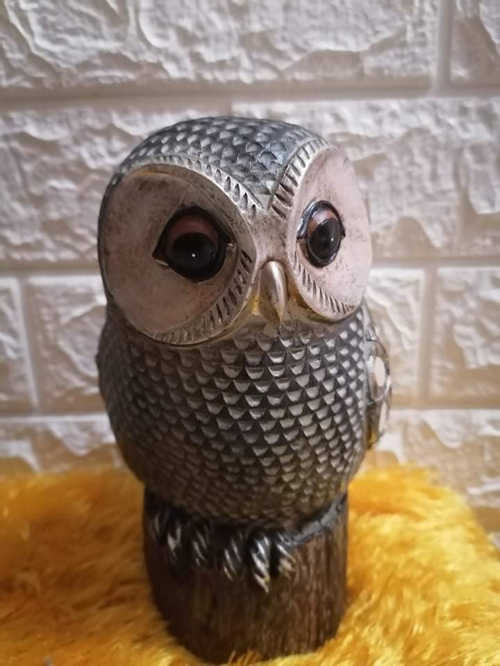 Owl display, Hobbies & Toys, Memorabilia & Collectibles, Vintage ...
