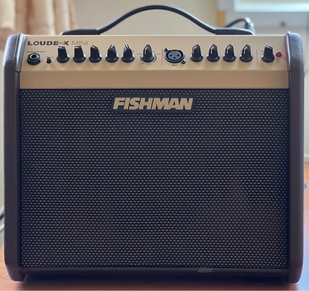 Fishman loudbox Mini, Hobbies & Toys, Music & Media, Music Accessories ...