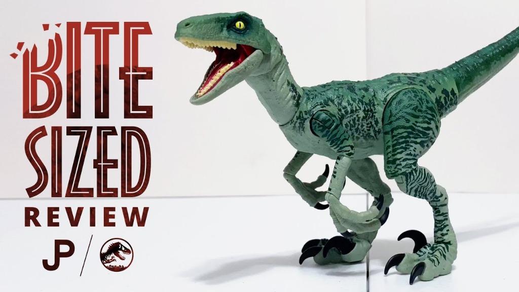 Jurassic World 侏羅記 Amber Collection Velociraptor Delta（合SHF, Figma ...