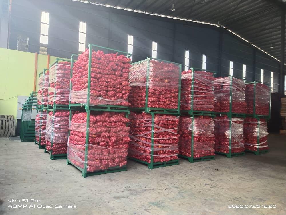 Pallet Trainer, Everything Else, Others on Carousell