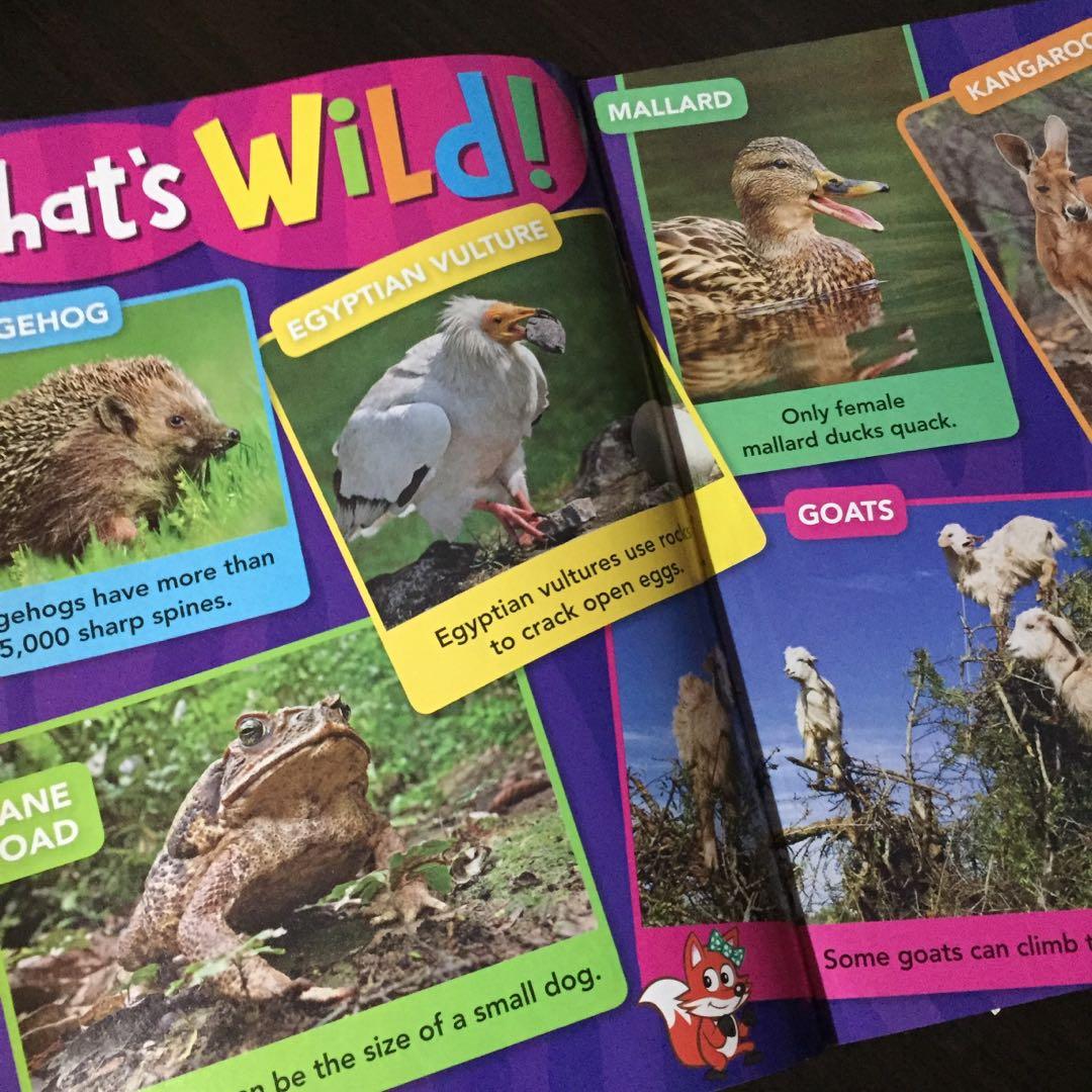 Ranger Rick Jr. Magazines, Hobbies & Toys, Books & Magazines, Children ...