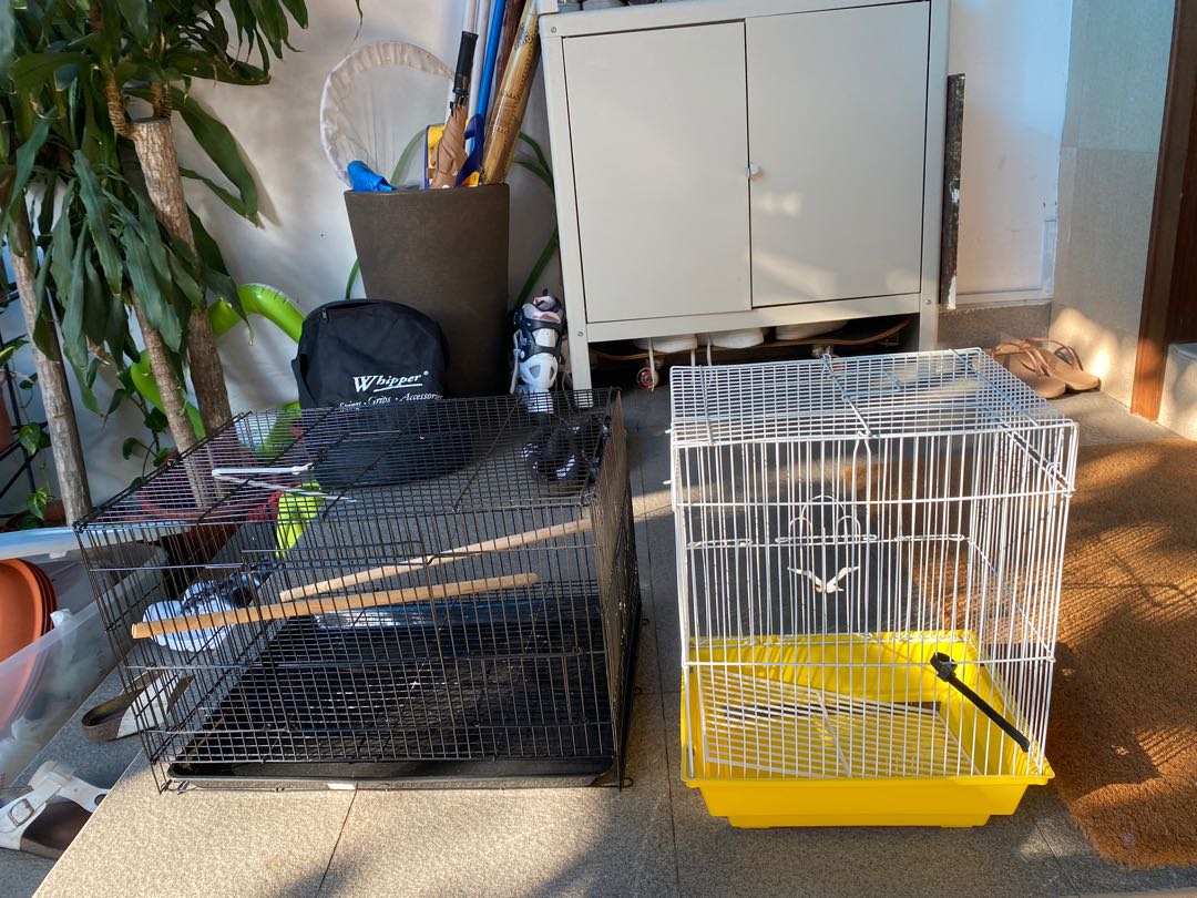 Cages x2, Pet Supplies, Homes & Other Pet Accessories on Carousell