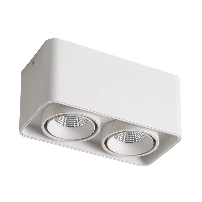 Ceiling light box. Double head light box. Toilet light. Corridor light ...