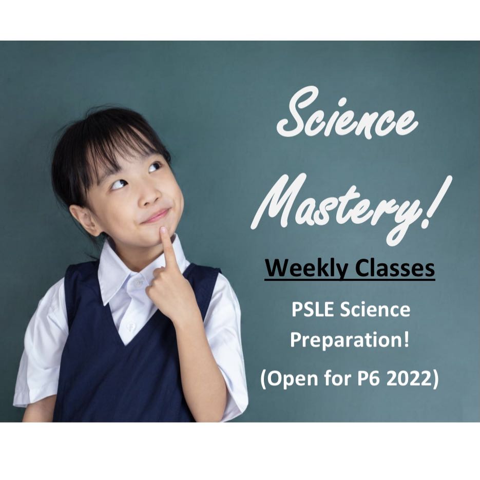 Science Tuition (weekly PSLE Preparations 2022), Learning & Enrichment ...
