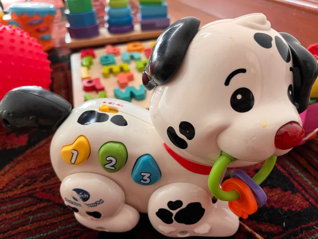 VTech dog, Hobbies & Toys, Toys & Games on Carousell
