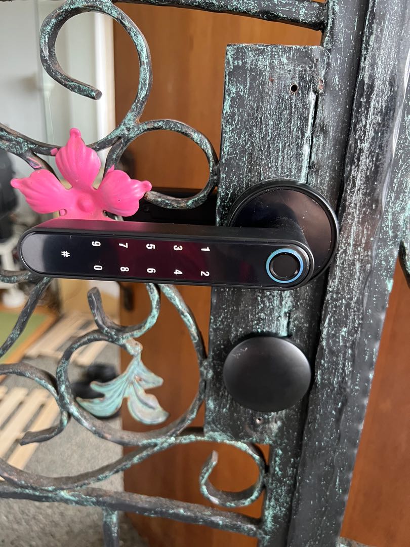 DGS12 Smart Gate Lock with Tuya, Furniture & Home Living, Security ...