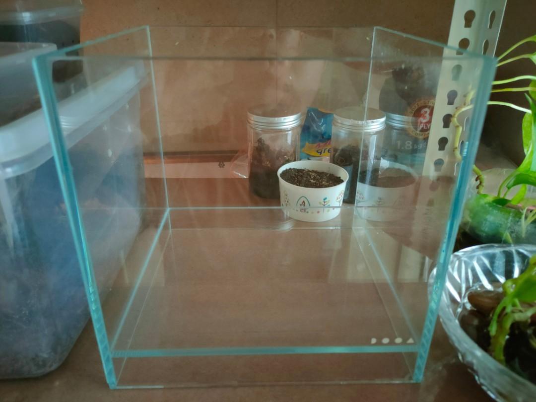DOOA Neo Air 20cm cube tank, Pet Supplies, Homes & Other Pet ...