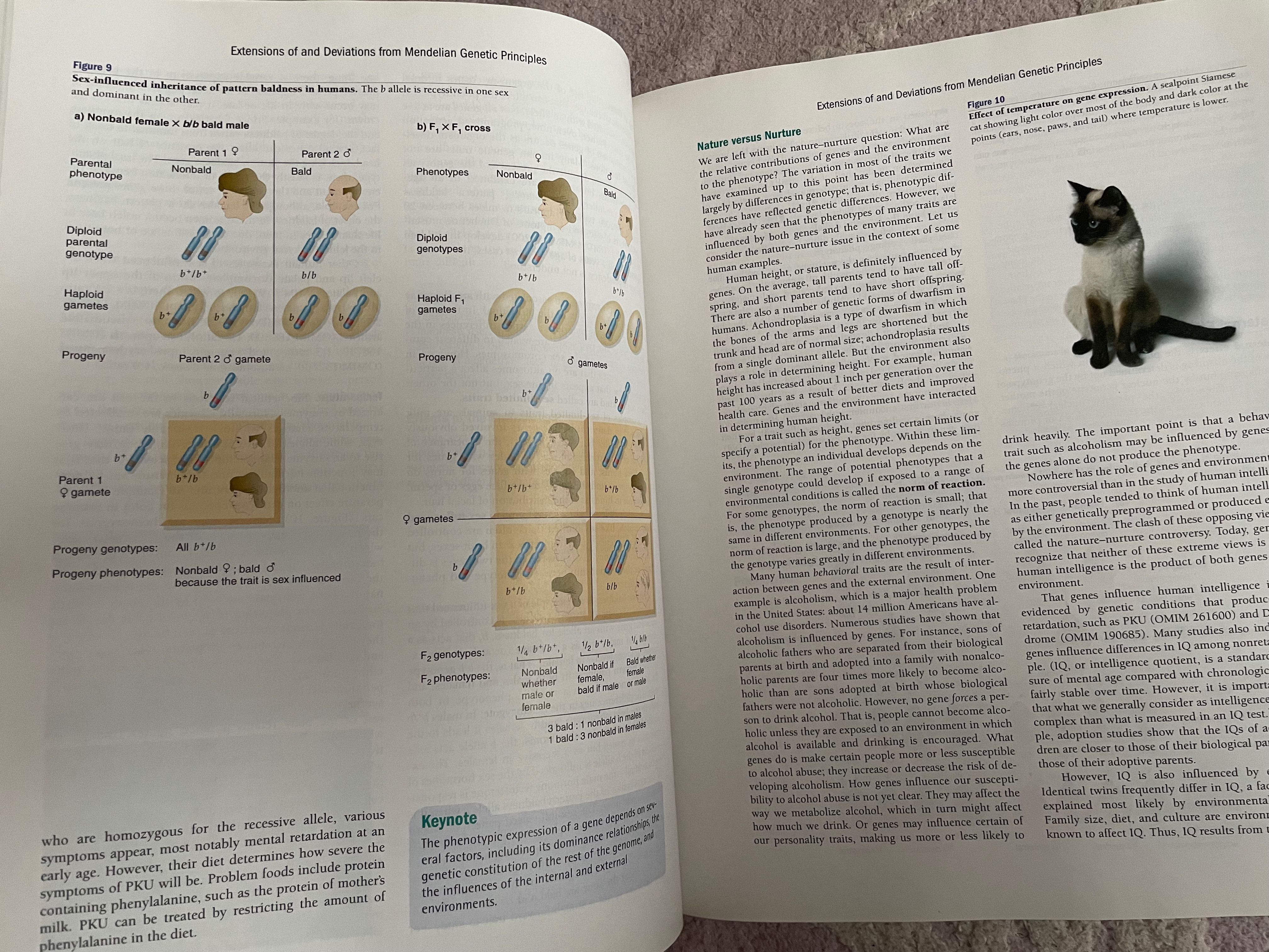 Genetics Reference Book, Hobbies & Toys, Books & Magazines, Textbooks ...