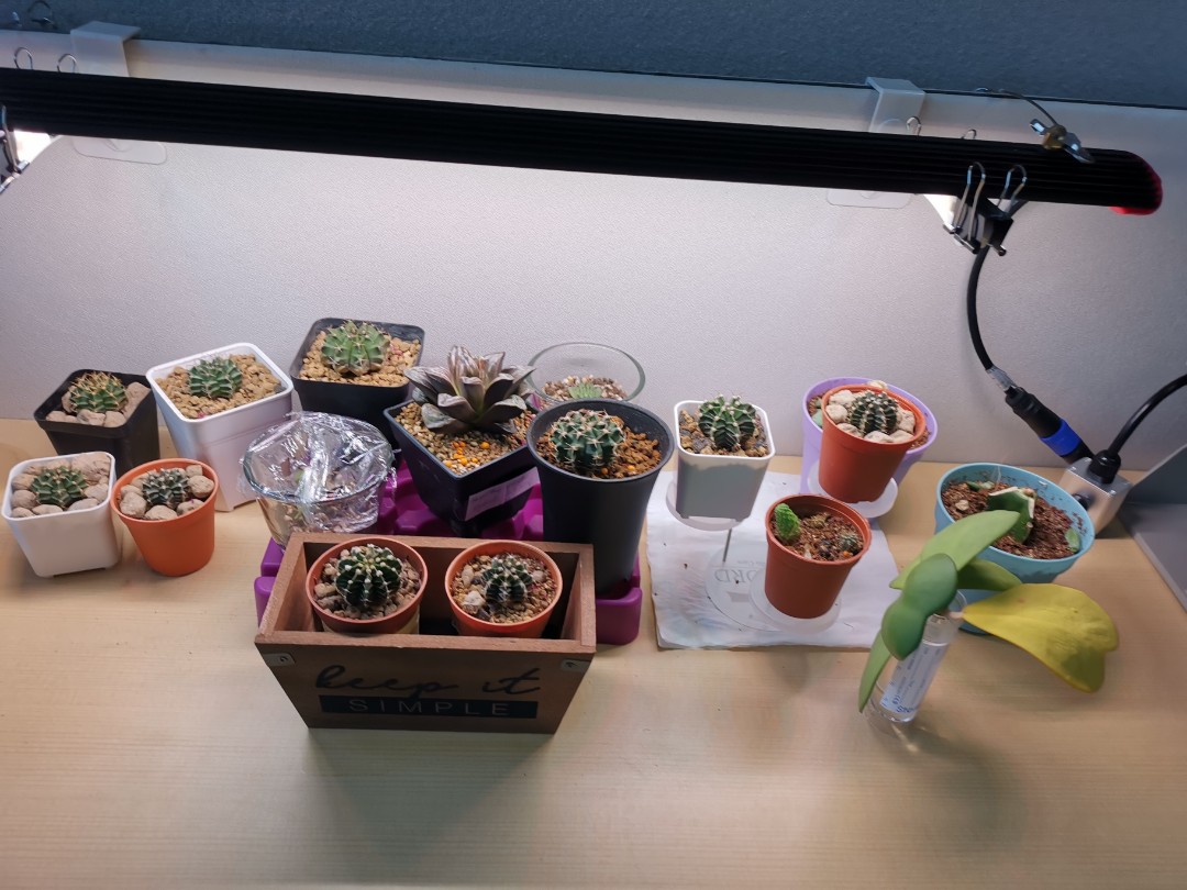 HELIOS Xp mkII 60cm, Furniture & Home Living, Gardening, Pots ...