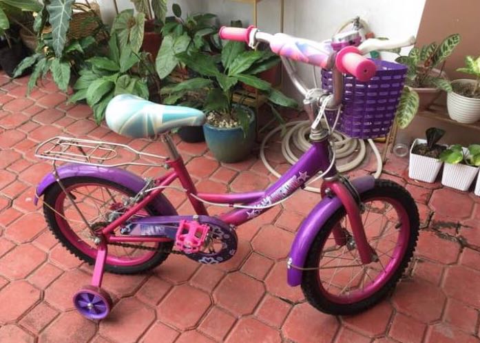 RUX BIKE FOR GIRLS, Sports Equipment, Bicycles & Parts, Bicycles on ...