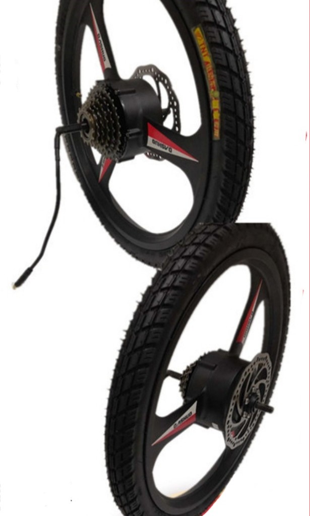 Rogi Pro Max / Eco Drive 2.0 20inch 48v 400w Ebike motor, Sports Equipment, PMDs, E-Scooters & E ...