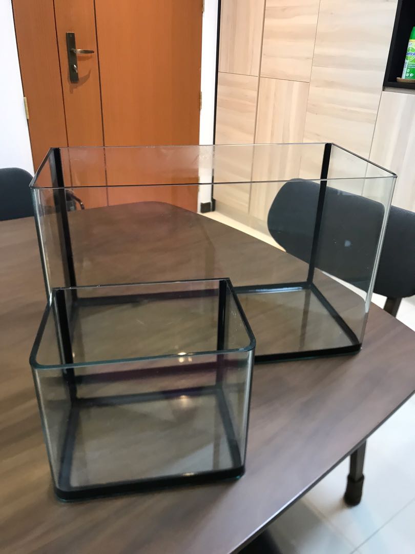 Curved glass fish tanks (2 tanks), Pet Supplies, Homes & Other Pet ...
