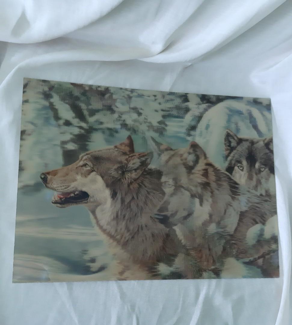 Magic box, Hobbies & Toys, Toys & Games on Carousell