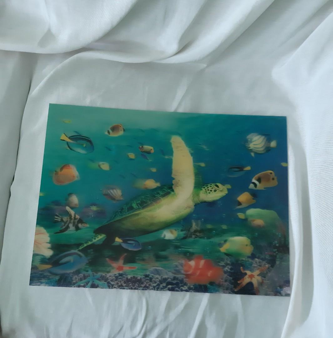 Magic box, Hobbies & Toys, Toys & Games on Carousell