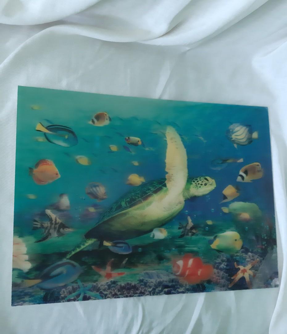 Magic box, Hobbies & Toys, Toys & Games on Carousell