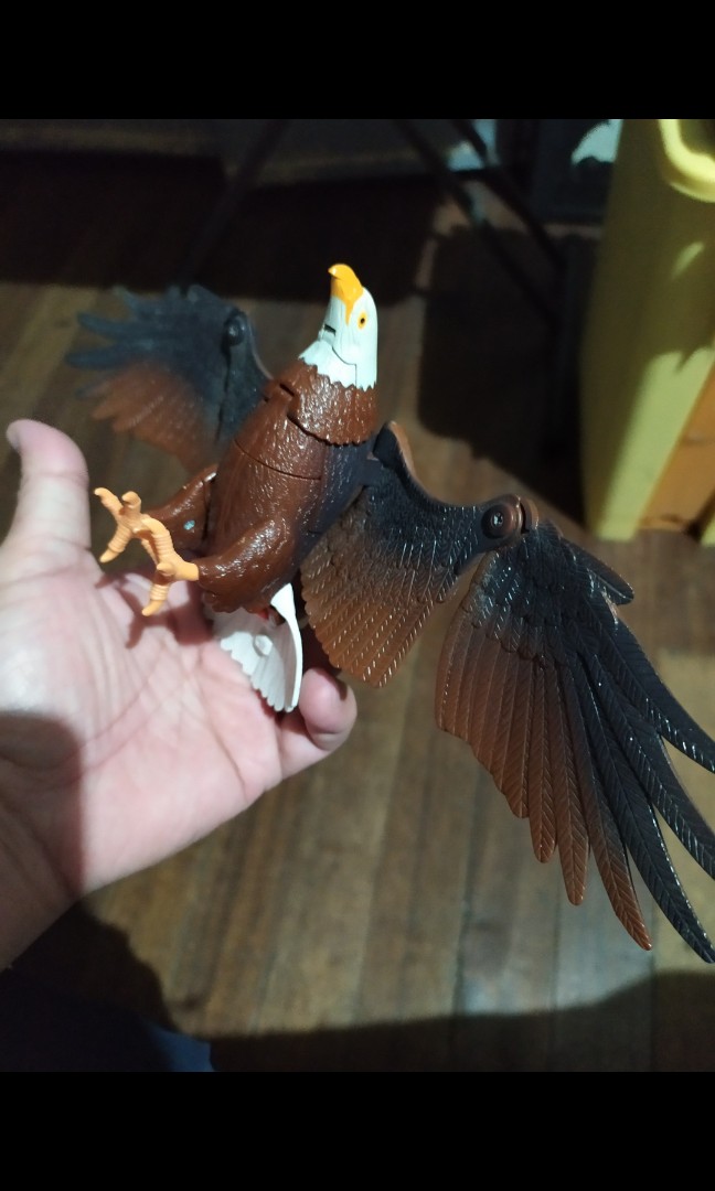 Transformers eagle robot, Hobbies & Toys, Toys & Games on Carousell