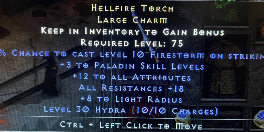 Diablo 2 resurrected Paladin torch, Video Gaming, Video Games, Others ...