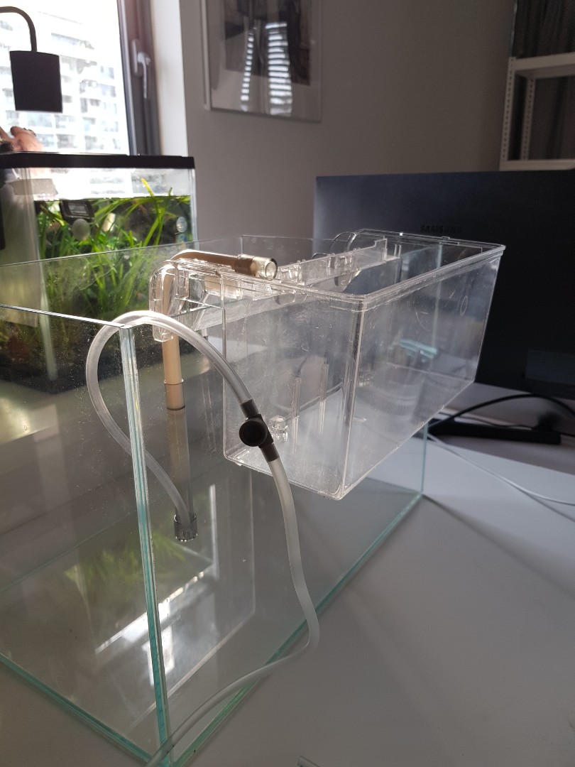 Fish Isolation Tank, Pet Supplies, Homes & Other Pet Accessories on ...