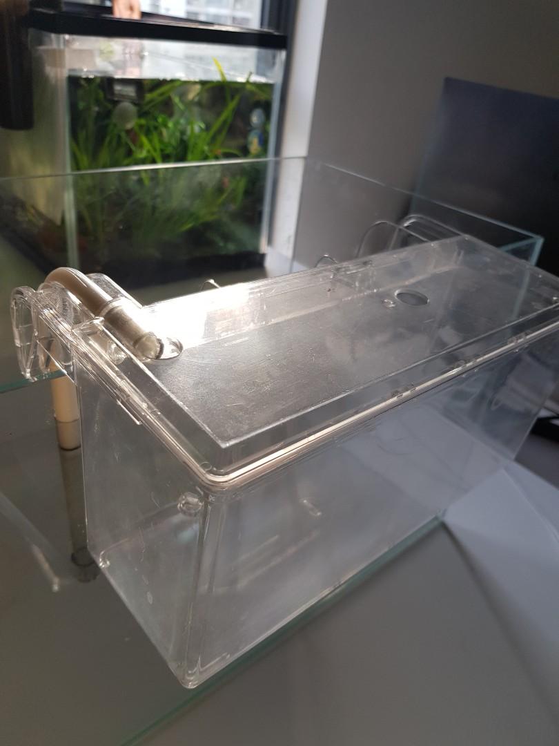 Fish Isolation Tank, Pet Supplies, Homes & Other Pet Accessories on ...