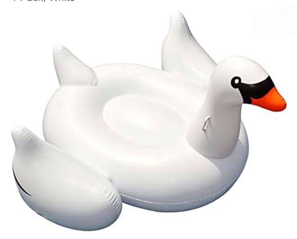 Inflatable Float - White Swan with pump, Sports Equipment, Sports ...