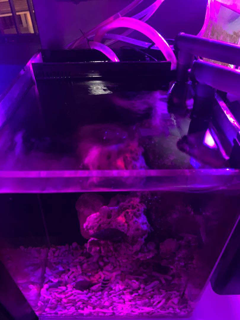 1ft Marine Nano IOS Fish Tank Set, Pet Supplies, Homes & Other Pet ...