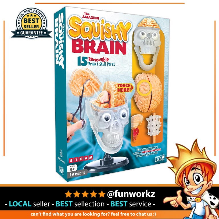 SmartLab Toys The Amazing Squishy Brain, Hobbies & Toys, Toys & Games ...