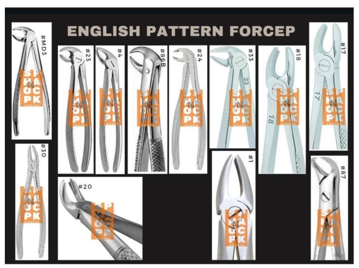 (SNP-T) English Pattern Forceps (Feldon), Health & Nutrition, Medical ...