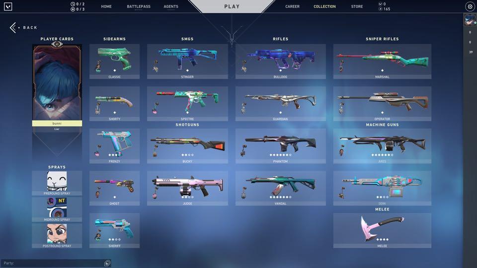 Valorant Gold 2 with skins account, Video Gaming, Gaming Accessories ...