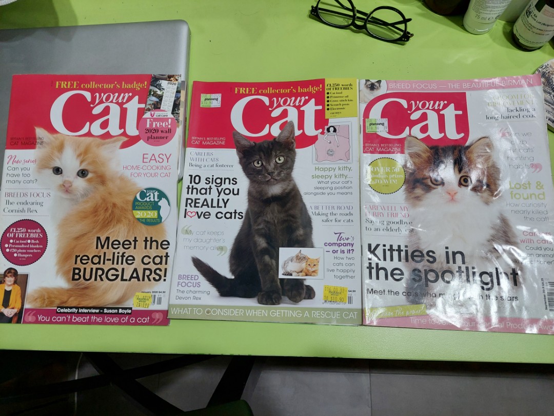 3 issues of Your Cat UK Cat Magazine, Hobbies & Toys, Books & Magazines ...