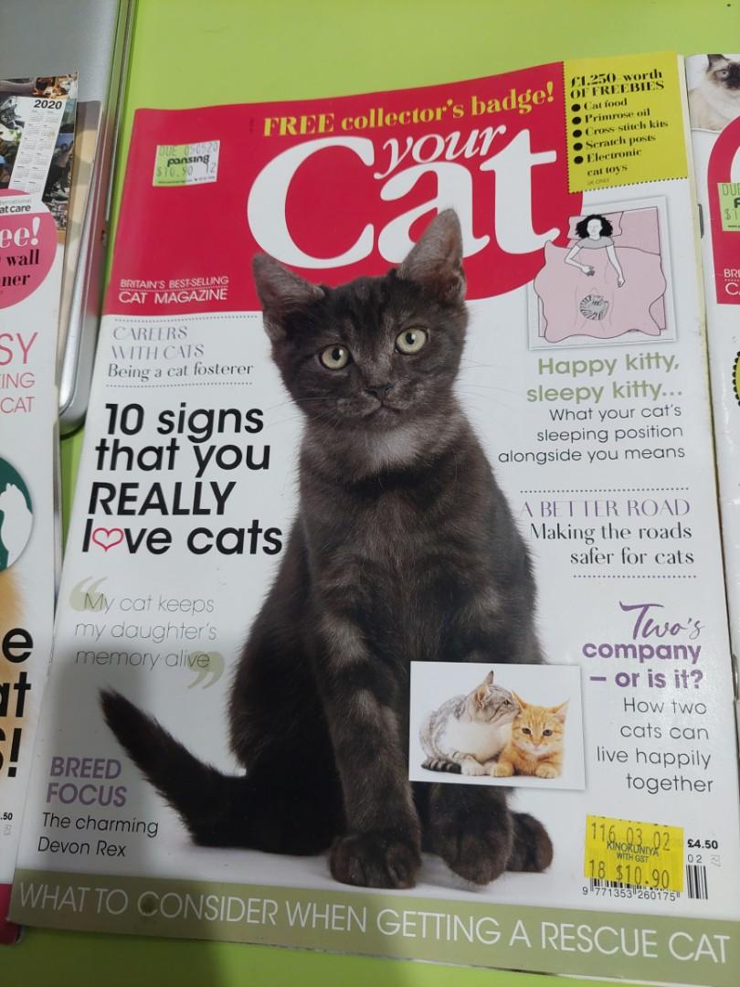3 issues of Your Cat UK Cat Magazine, Hobbies & Toys, Books & Magazines ...