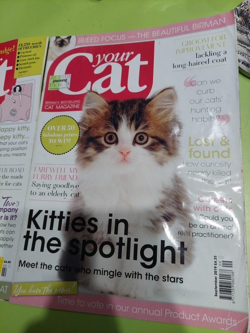 3 issues of Your Cat UK Cat Magazine, Hobbies & Toys, Books & Magazines ...