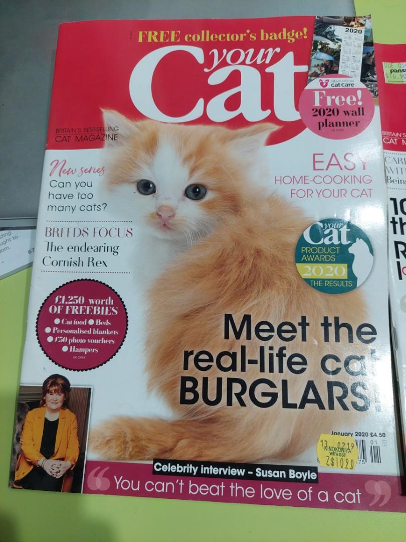 3 issues of Your Cat UK Cat Magazine, Hobbies & Toys, Books & Magazines ...