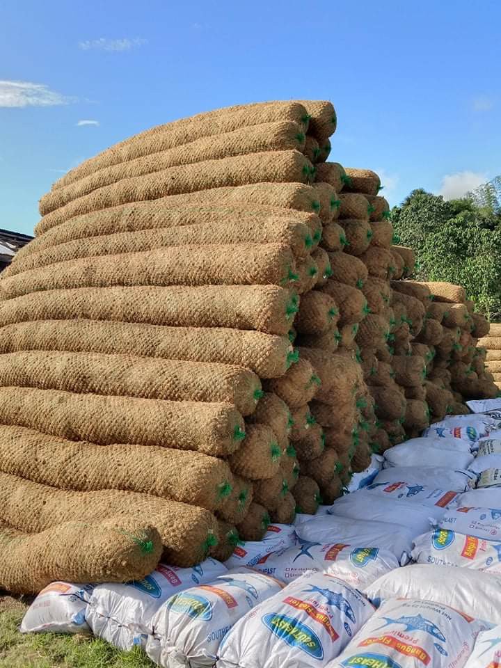 CL200 / CL300 Coco coir Log Philippines Supplier / Best Quality / DPWH ...