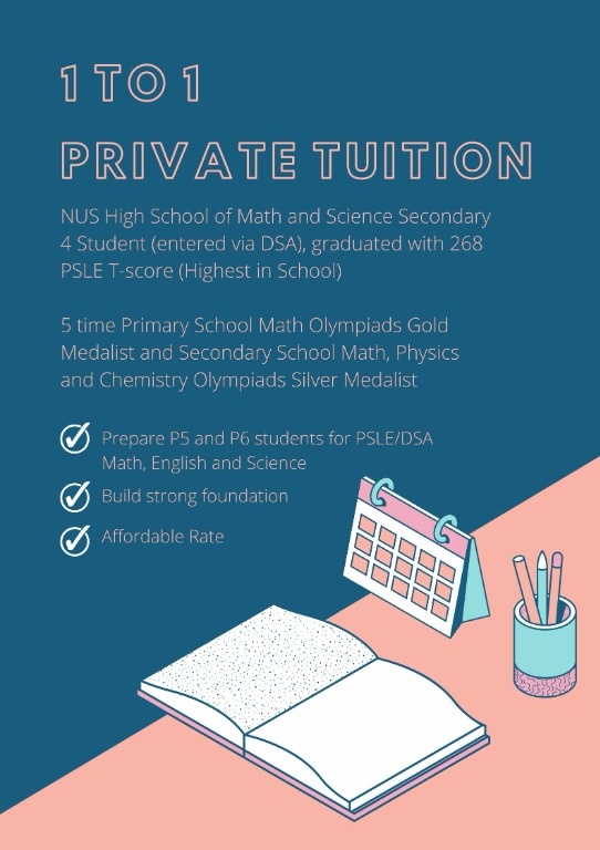 PSLE DSA Private 1 to 1 Tuition, Learning & Enrichment, Enrichment ...
