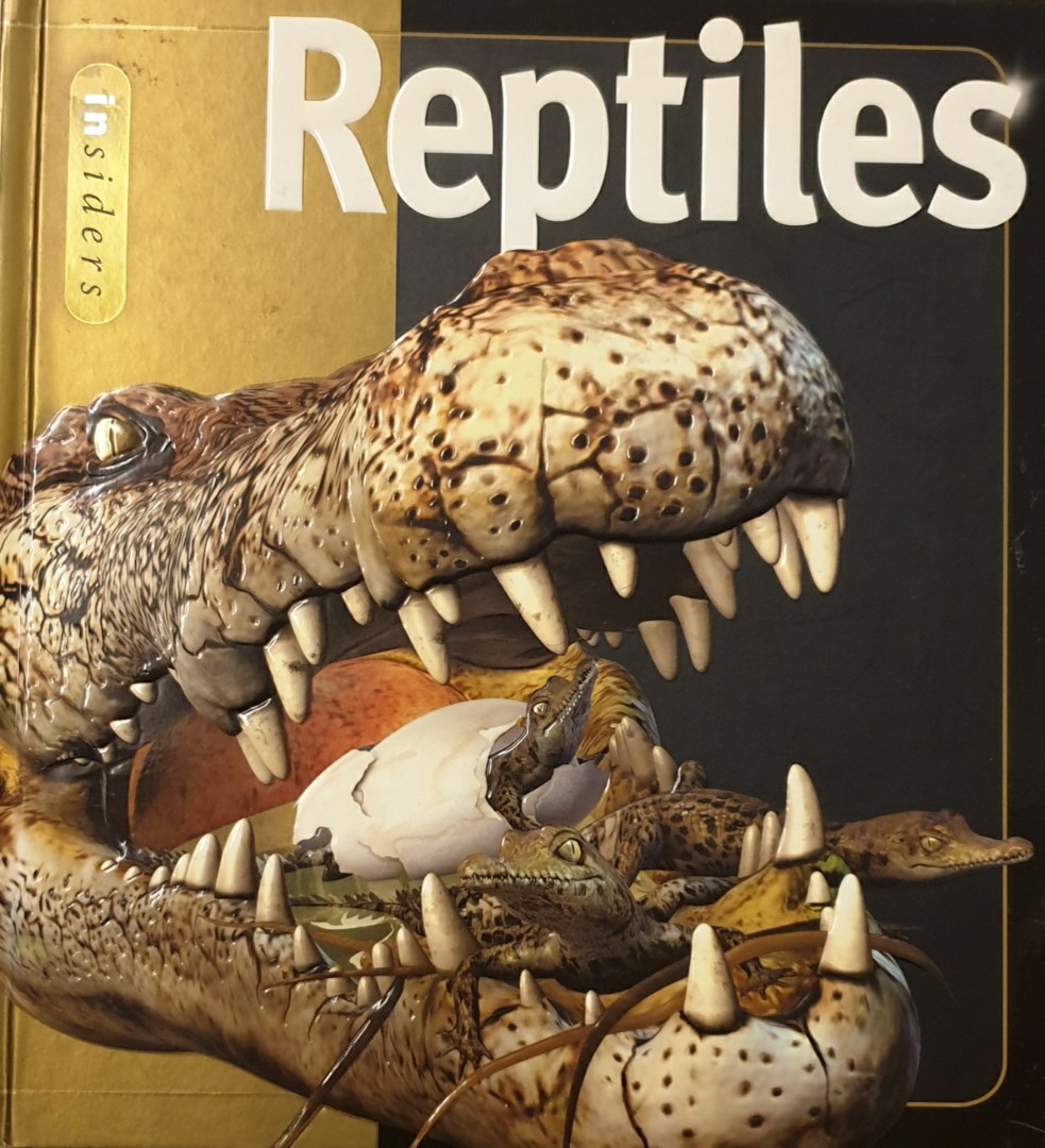 Reptiles Encyclopedia, Hobbies & Toys, Books & Magazines, Children's ...