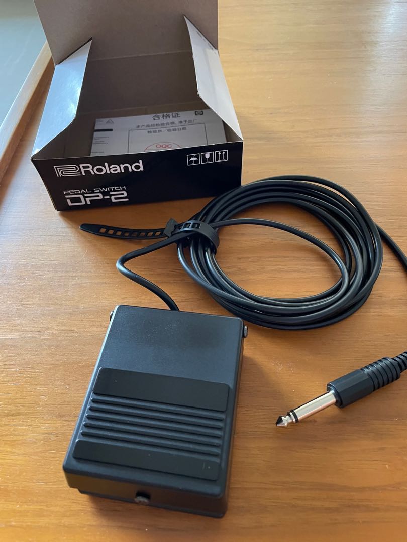 Roland DP-2 Pedal Sustain, Hobbies & Toys, Music & Media, Musical ...