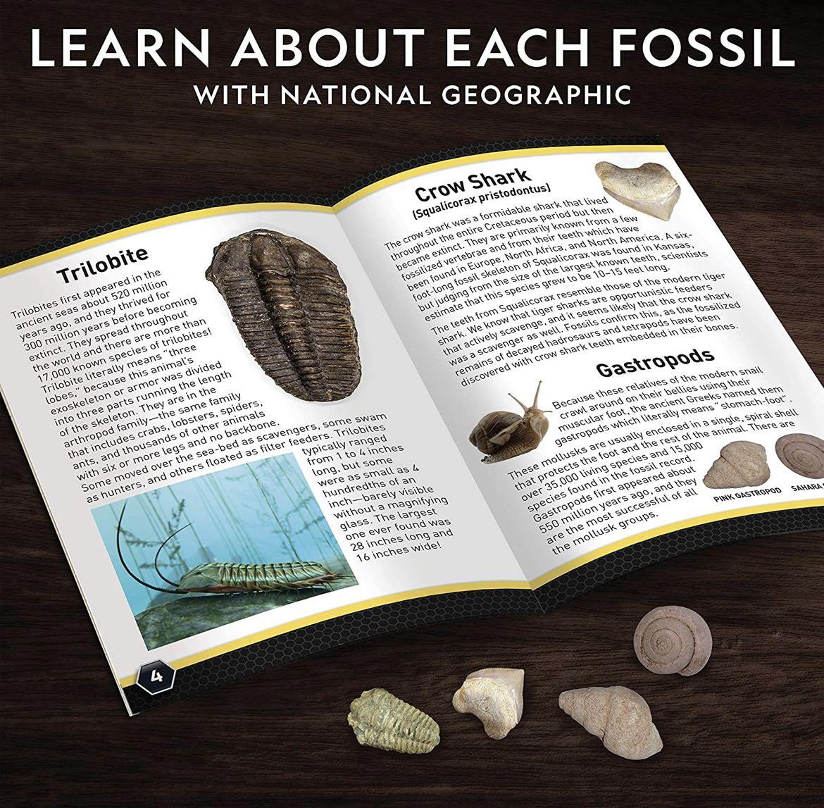 國家地理頻道益知化石發掘遊戲套裝 | NATIONAL GEOGRAPHIC Mega Fossil Dig Kit – Excavate ...