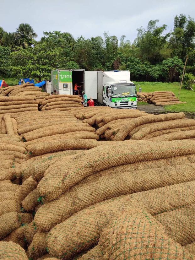 CL300 Coco Logs 30 cm x 3 meters Best for Slope Protection, Commercial ...