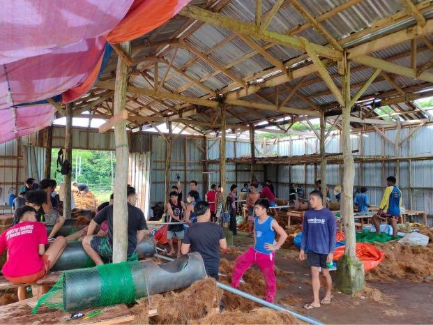 CL300 Coco Logs 30 cm x 3 meters Best for Slope Protection, Commercial ...