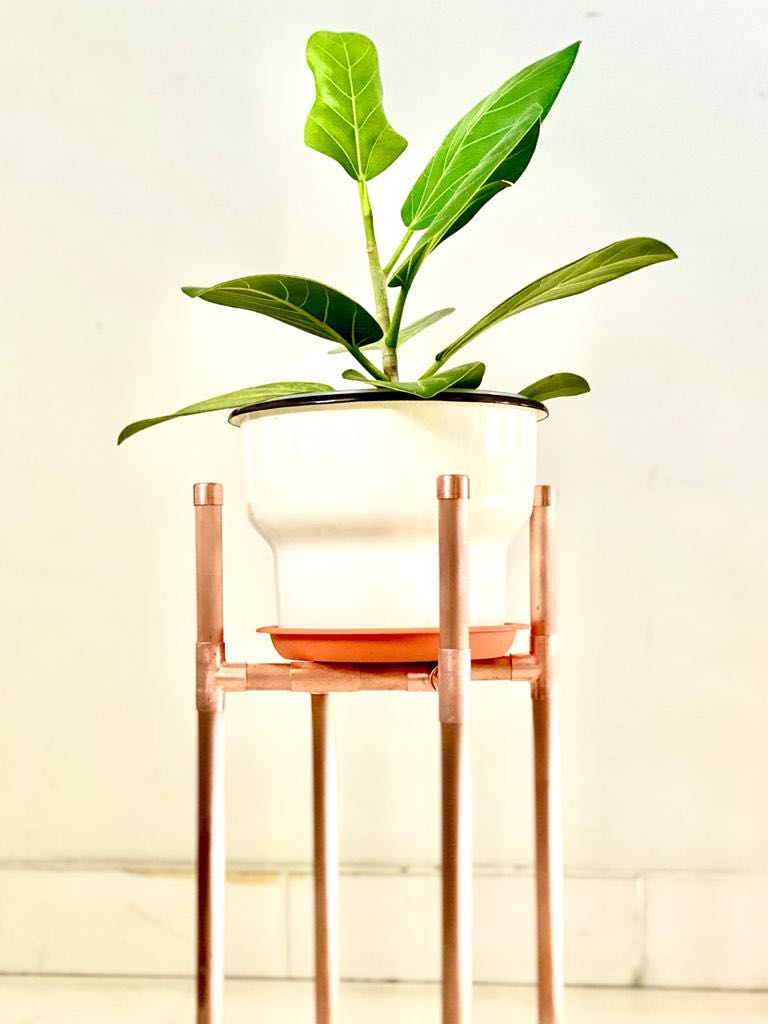 Copper Plant Stand Structure, Furniture & Home Living, Gardening, Pots ...